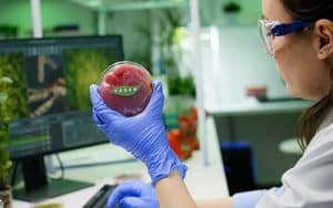 Utilisation OGM en Milieu Confiné : Réglementation, Bonnes Pratiques