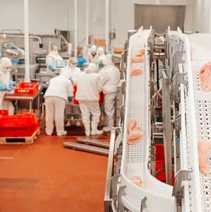 Prévention des risques biologiques dans les abattoirs de volailles ...